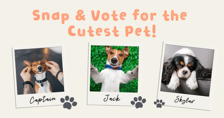 Photo Voting Contest | Gleam.io Templates